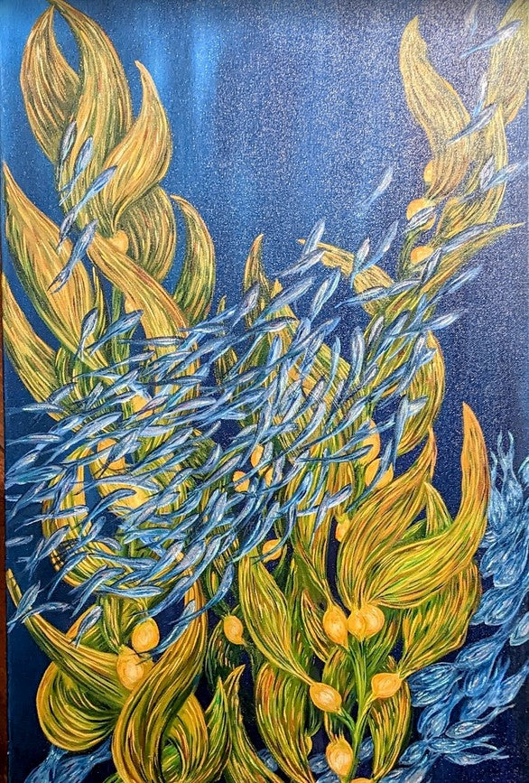 Fun Dive – The Historic Town of Bodega Art Gallery