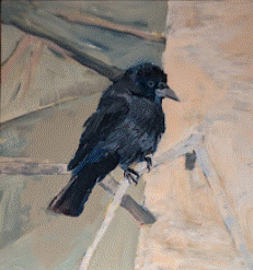 Bird 3 – The Historic Town of Bodega Art Gallery