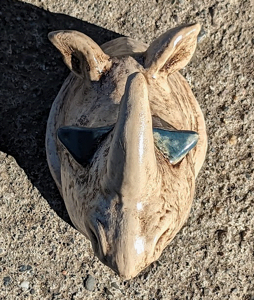 Cool Rino – The Historic Town of Bodega Art Gallery