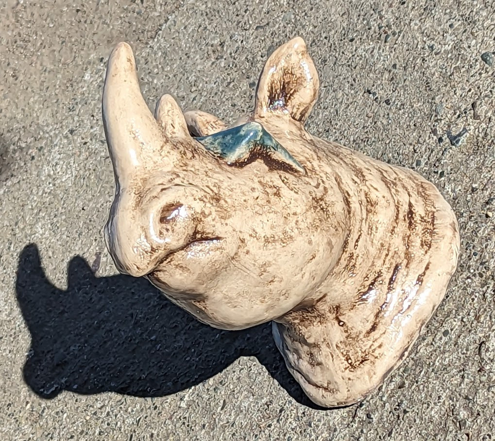 Cool Rino – The Historic Town of Bodega Art Gallery